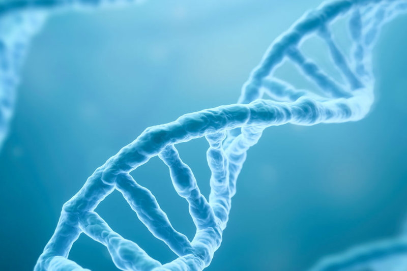 GenSight Biologics – Leader in Gene Therapy Against Blindness