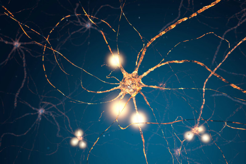 GenSight Biologics – Leader in Gene Therapy Against Blindness