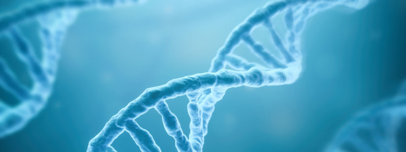 GenSight Biologics – Leader in Gene Therapy Against Blindness
